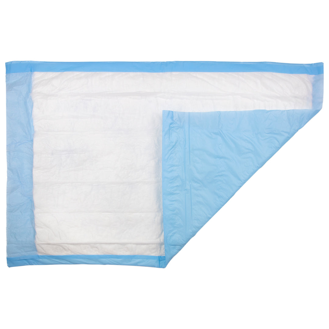Bluey Disposable Bed Pads